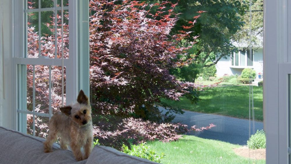 Understanding the Different Types of Windows | Harvey Windows + Doors